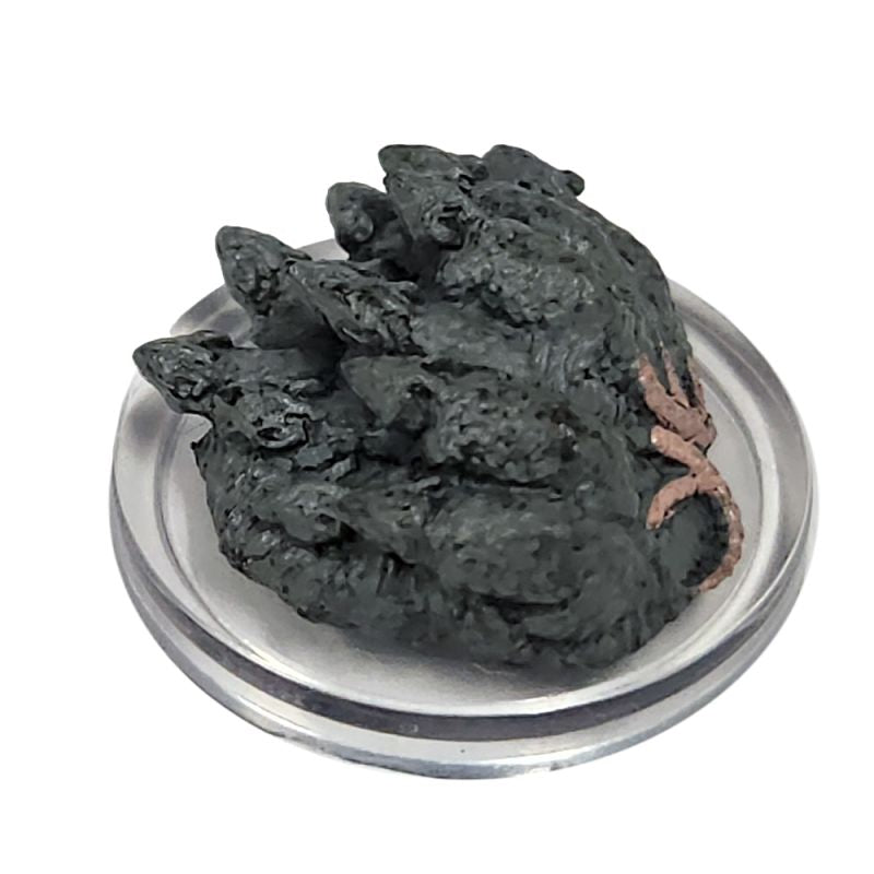 Swarm of Rats (Ghost Light) - (24) – The Sword & Board