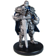 Half-Orc Paladin (Rage of Demons) - (15) – The Sword & Board