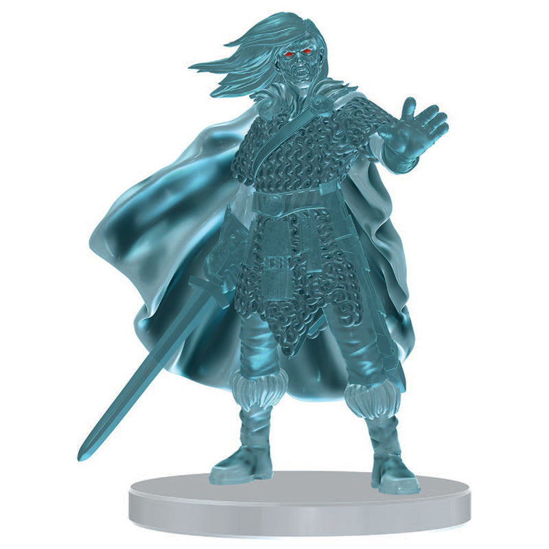 Sword Wraith Warrior (Seas & Shores) - (13) – The Sword & Board