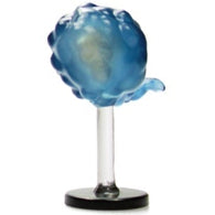 Will-O-Wisp (Wrath of the Righteous) - (4) – The Sword & Board